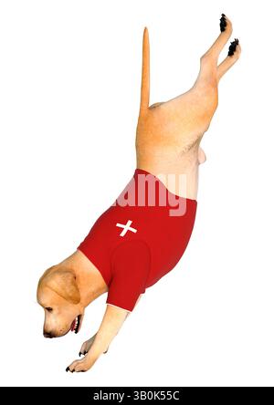 3D rendering of a yellow labrador service dog isolated on white ...