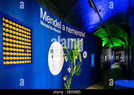 Brno Mendel Museum Augustinian Monastery Abbey of St Thomas Courtyard ...