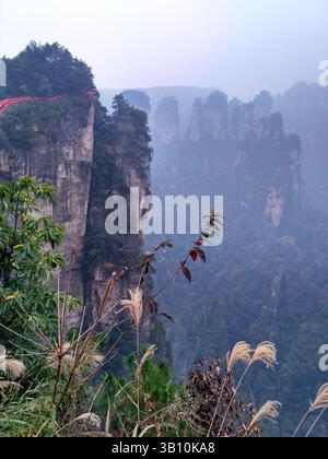 Zhangjiajie National Park, China, famed for towering sandstone pillars ...