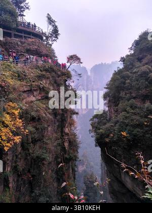 Zhangjiajie National Park, China, famed for towering sandstone pillars ...