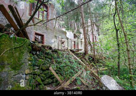 A wall of stone blocks with an overgrowth of green leafy vines Stock ...