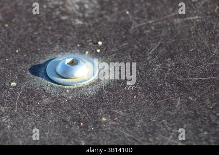 silver metal screw in brown plank Stock Photo - Alamy