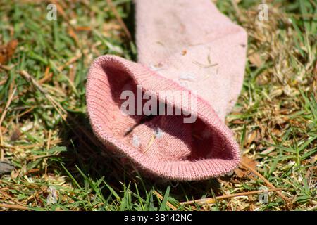 inside out lost pink sock Stock Photo - Alamy