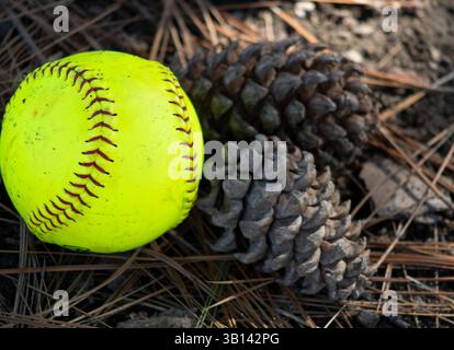 bright yellow softball in nature Stock Photo - Alamy