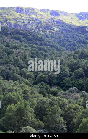 Deciduous forests in the Cantabrian Mountains range (Leon, Northern ...