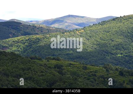 Deciduous forests in the Cantabrian Mountains range (Leon, Northern ...