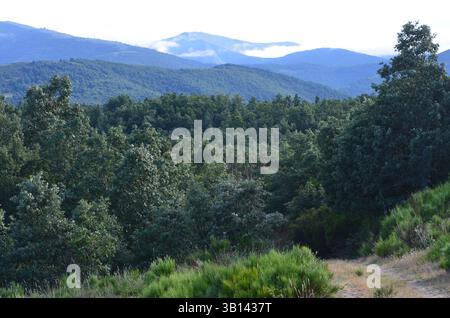 Deciduous forests in the Cantabrian Mountains range (Leon, Northern ...