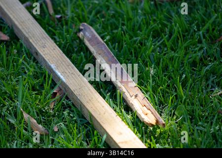 Broken piece of wood on the grassy ground Stock Photo - Alamy