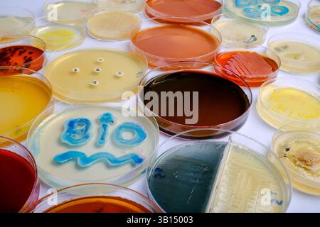 Colorful agar plates with bio inscription center Stock Photo - Alamy