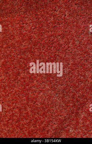 a porous structural surface close-up, red background, grinding wheel ...