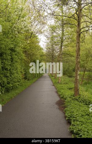 A paved path winding through a forested park with tall trees and grassy ...