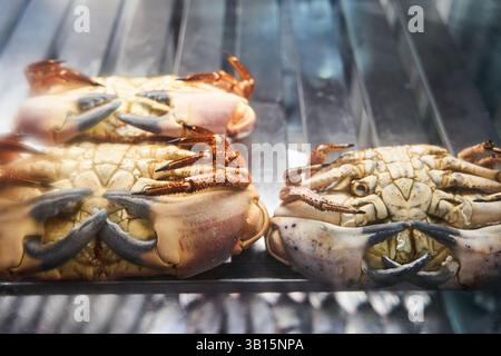 Freshly caught crabs are beautifully displayed in the seafood market ...