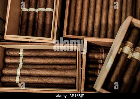 Stacks of new cigars in wooden boxes piled up Stock Photo - Alamy