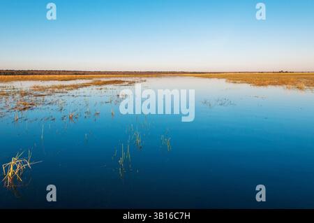 A scenic view of the Chobe River and partially submerged grasses. Chobe ...