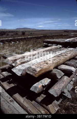 Replicas of the Central Pacific Jupiter and Union Pacific No. 119 ...