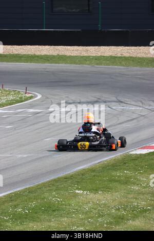 Rotax max Karts with Sodi Sigma chassis at the competition track of RKC ...