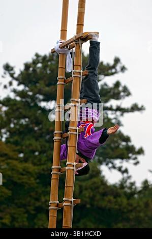 Traditional Japanese fireman performing stunts atop a bamboo ladder ...