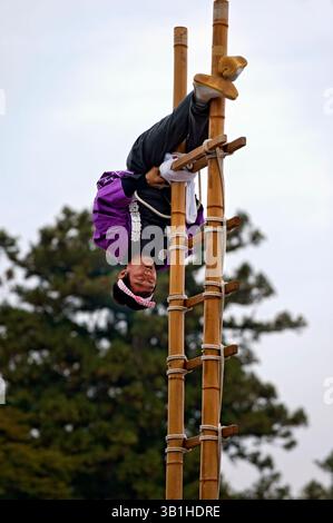 Traditional Japanese fireman performing stunts atop a bamboo ladder ...