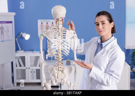 Doctor pointing at sections of human skeleton model in clinic Stock ...