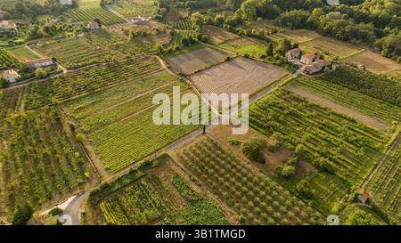 Beautiful aerial landscape of the French countryside and its vineyards ...