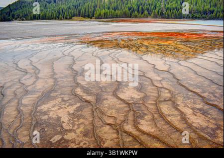 Grand Prismatic Hot Springs at Excelsior Geyser in Yellowstone National ...