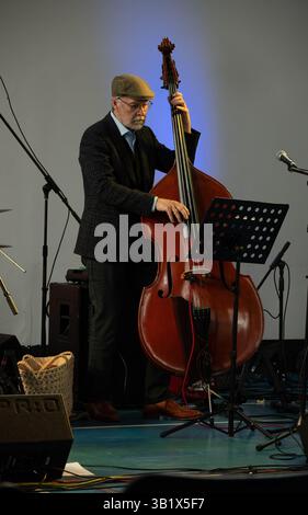 Male musician playing double bass against black background with lights ...