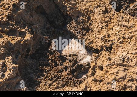 Detail of tafoni which are cavities that develop in granular rock with ...