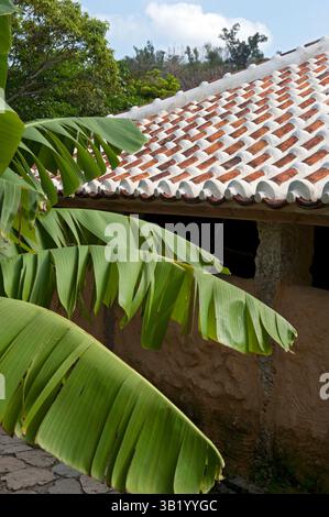 Traditional Okinawan historical residence with ceramic roof tiles and ...