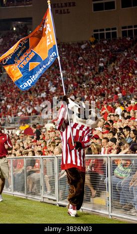 MADISON, WI - SEPTEMBER 20: Wisconsin Badgers quarterback Hunter ...