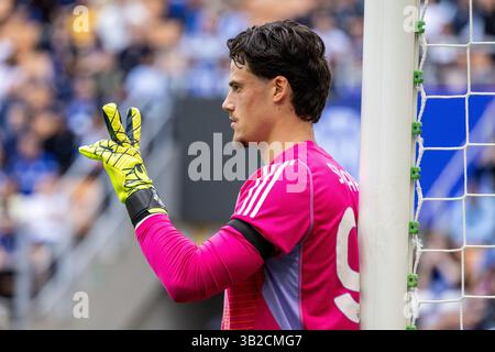 Mile Svilar of AS Roma during the serie A Enilive match between AS Roma ...