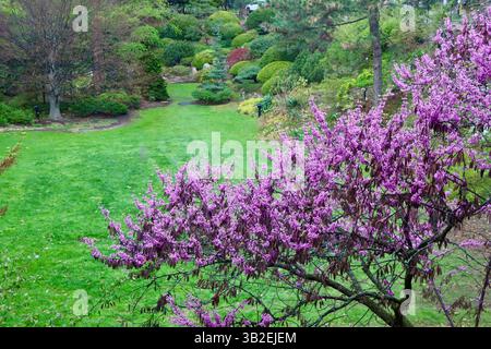 Arbor Day April 24, 2025 at Cleveland Botanical Garden Stock Photo - Alamy