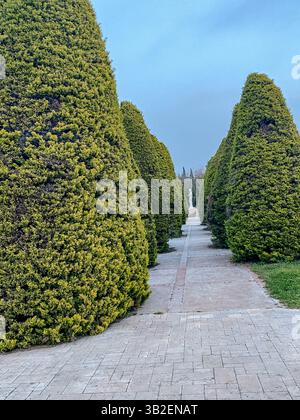 Paved walkway in landscaped garden Stock Photo - Alamy