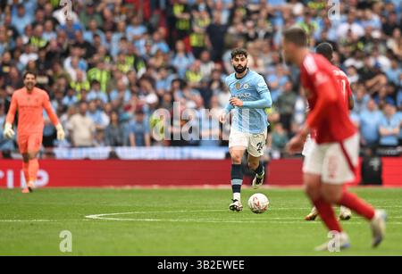 Josko Gvardiol of Manchester City brings down Dominic Calvert-Lewin of ...