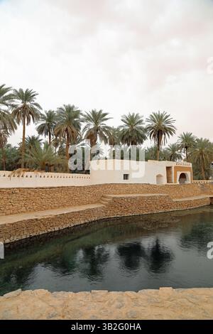 Spring water pool at Ghadames in northwestern Libya Stock Photo - Alamy