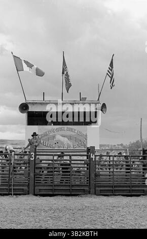 Announcer's booth and rodeo chutes at the Writing on Stone Rodeo ...