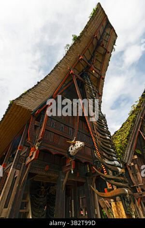 tongkonan houses at Toraja village in mountainous region of South ...