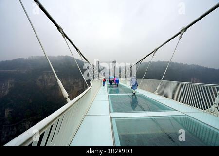 Avatar Grand Canyon Glass Bridge, Zhangjiajie, Hunan, China Stock Photo ...