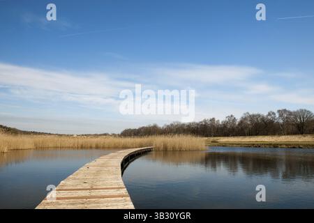 Wooden platforms in nature water lake Stock Photo - Alamy