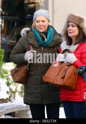 NEW YORK, NEW YORK - JANUARY 13: Amy Ryan attends the 2026 National ...