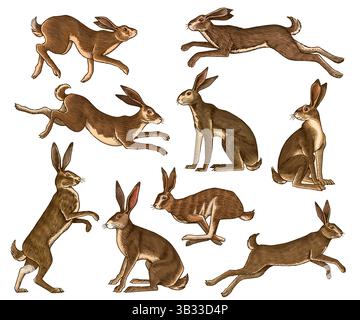 hares or rabbits sitting and jumping, in old vintage traditional style ...