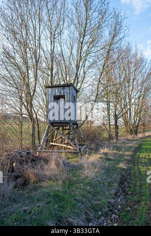Hunting tower, wooden treehouse and observation structure in a forest ...