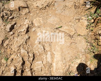 Textures shot on Medium Format with 100 MP resolution Stock Photo - Alamy