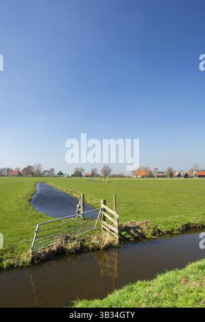 Dutch landscape with meadows and ditch Stock Photo - Alamy