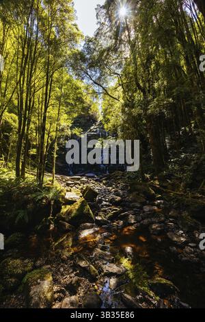 The majestic Nelson Falls and surrounding landscape in Franklin-Gordon ...