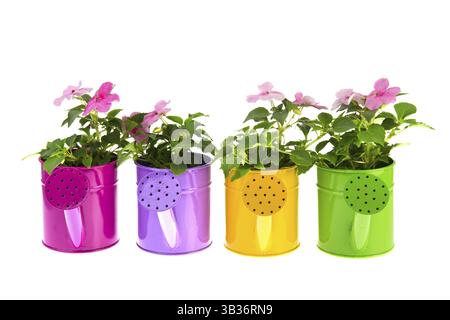 A row of colorful watering cans on a fence against a blurred background ...