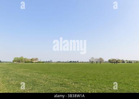 Typical Dutch flat landscape with meadows and horizon Stock Photo - Alamy