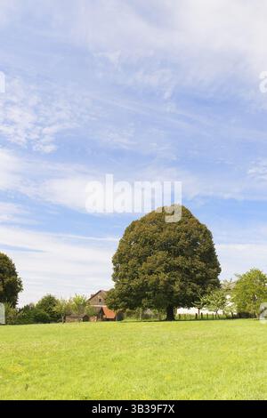 French landscape with hamlet in Limousin Stock Photo - Alamy