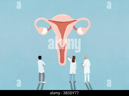 Female Reproductive System Stock Photo - Alamy