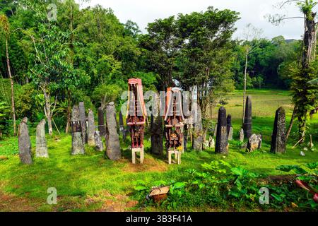 Megalith Memorial Stones, Lembang Parinding, Toraja, Sulawesi (Celebes ...