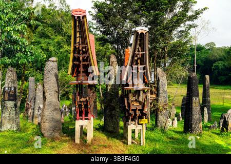 Megalith Memorial Stones, Lembang Parinding, Toraja, Sulawesi (Celebes ...